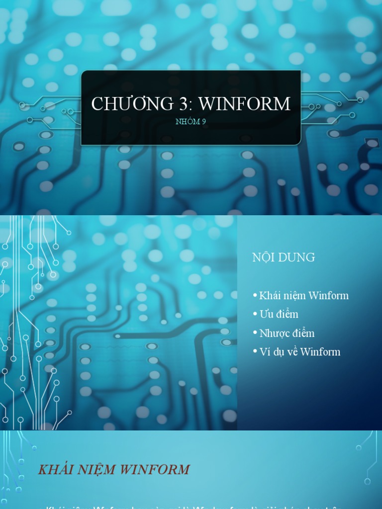 Thu Yet Trinh Win Form | PDF