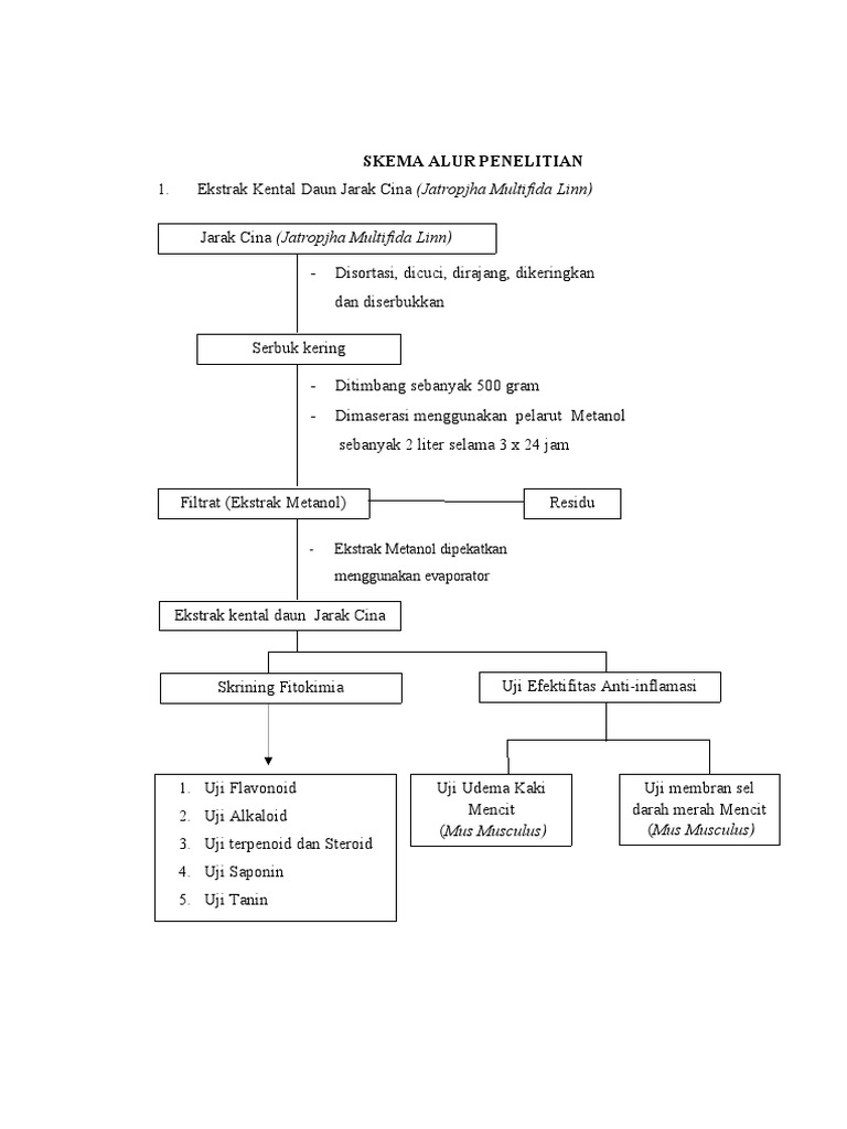 Skema Penelitian | PDF