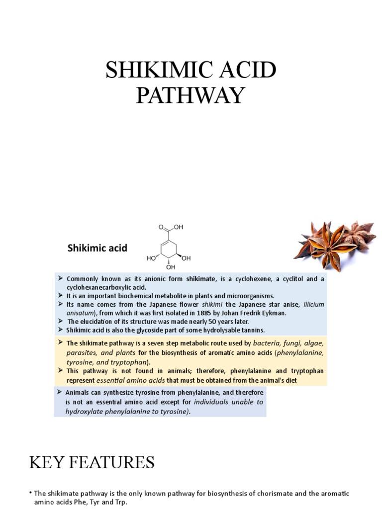 Shikimic Acid Pathway Overview | PDF | Science & Mathematics