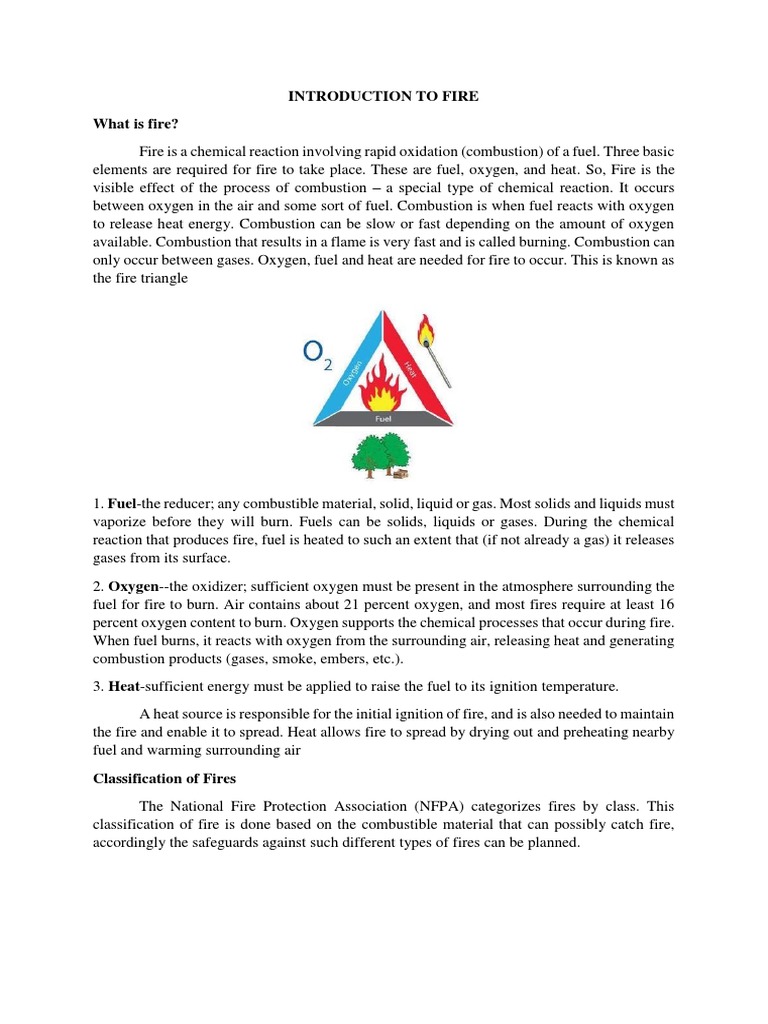 Fire Protection Written Report | PDF | Fire Sprinkler System | Combustion