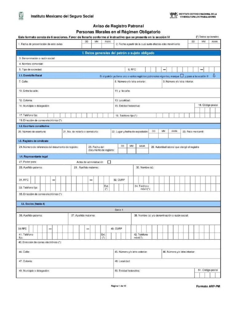 FORMATO PATRONAL IMSS | PDF