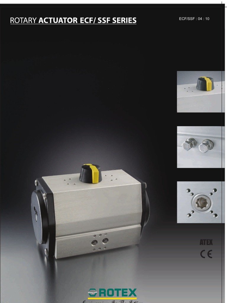 Rotex Rotary Actuator | Valve | Actuator