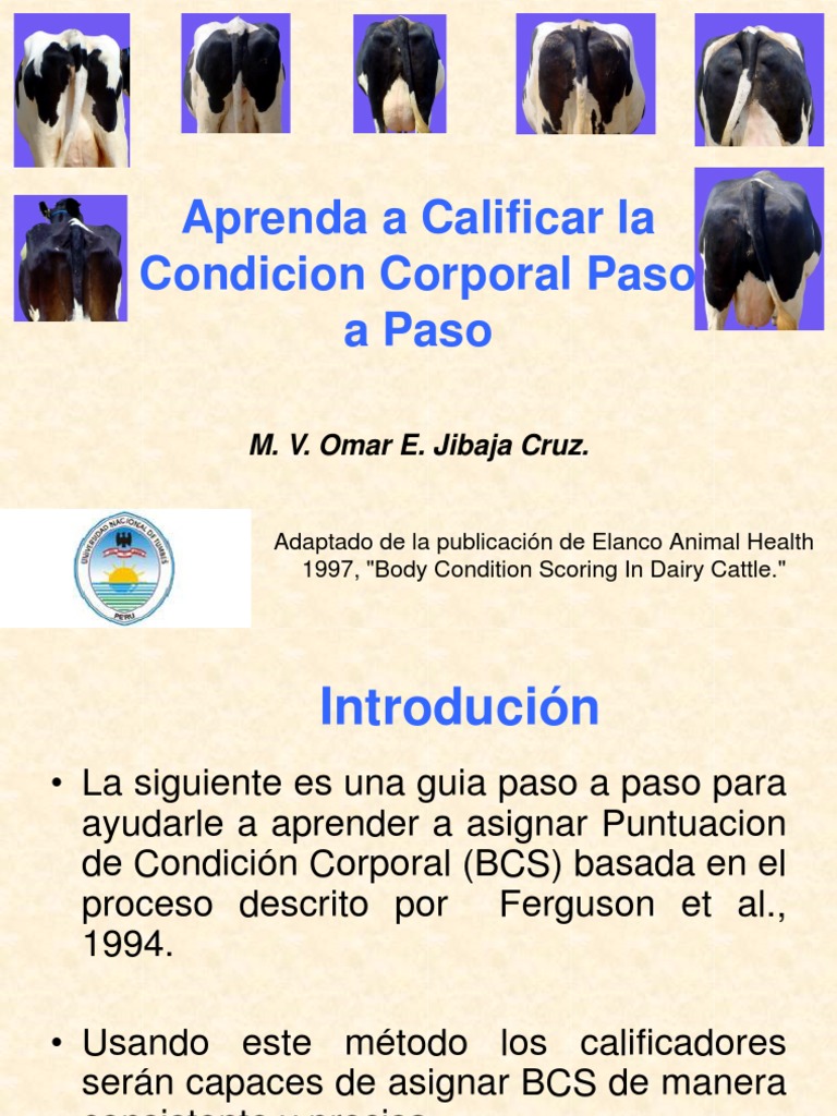 Práctica Grado de Condición Corporal | PDF