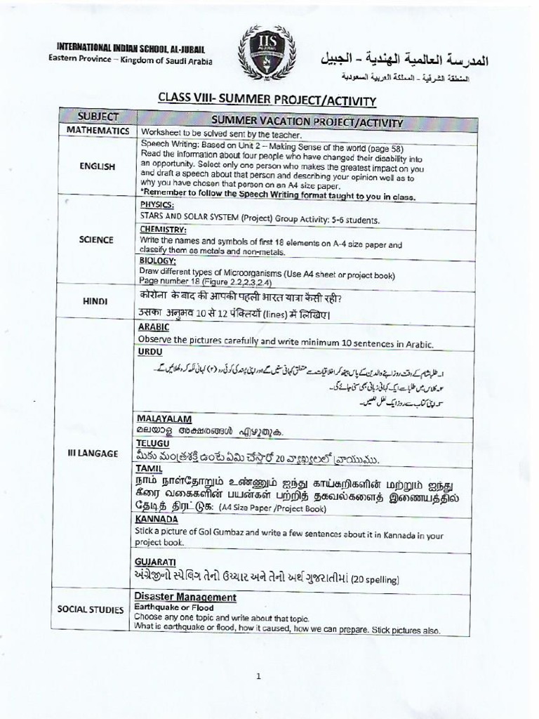 Class VIII Summer Project | PDF