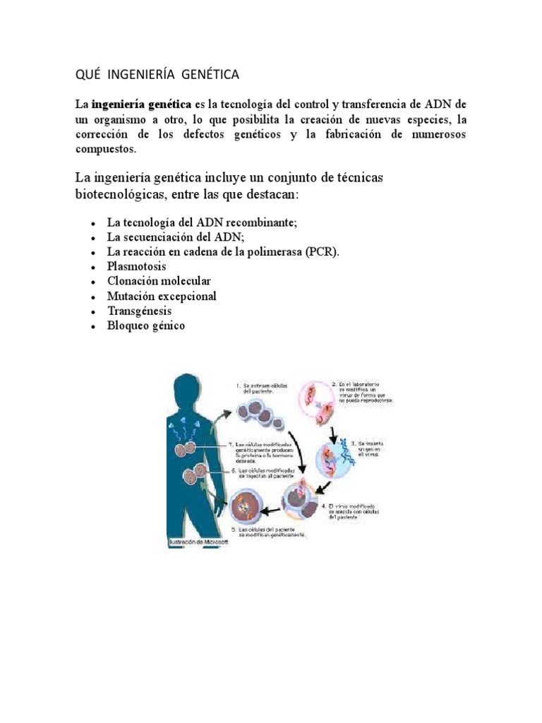 Introducción a la Ingeniería Genética | PDF | Clonación | Ingeniería ...