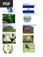 Asocie Simbolos Nacionalesde Costa Rica | PDF