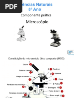 O Microscópio Óptico Composto | PDF | Microscópio | Ótica