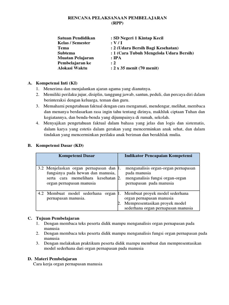 RPP PJBL IPA Fina | PDF | Karier & Perkembangan | Seni
