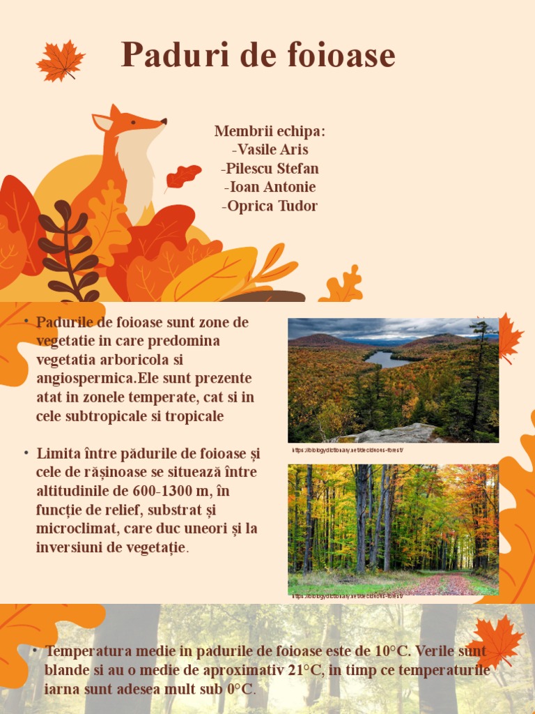 Paduri de Foioase | PDF