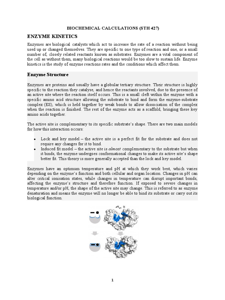 Biochemical Calculations (STH 427) | PDF | Science & Mathematics