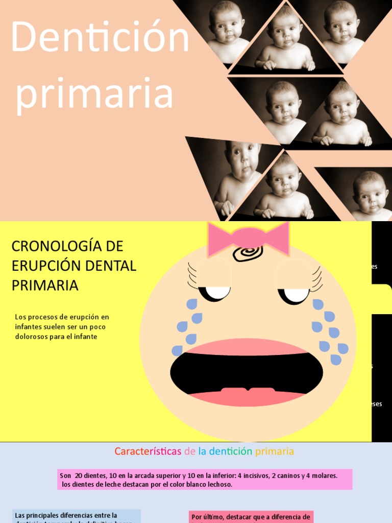 Denticion Primaria | PDF