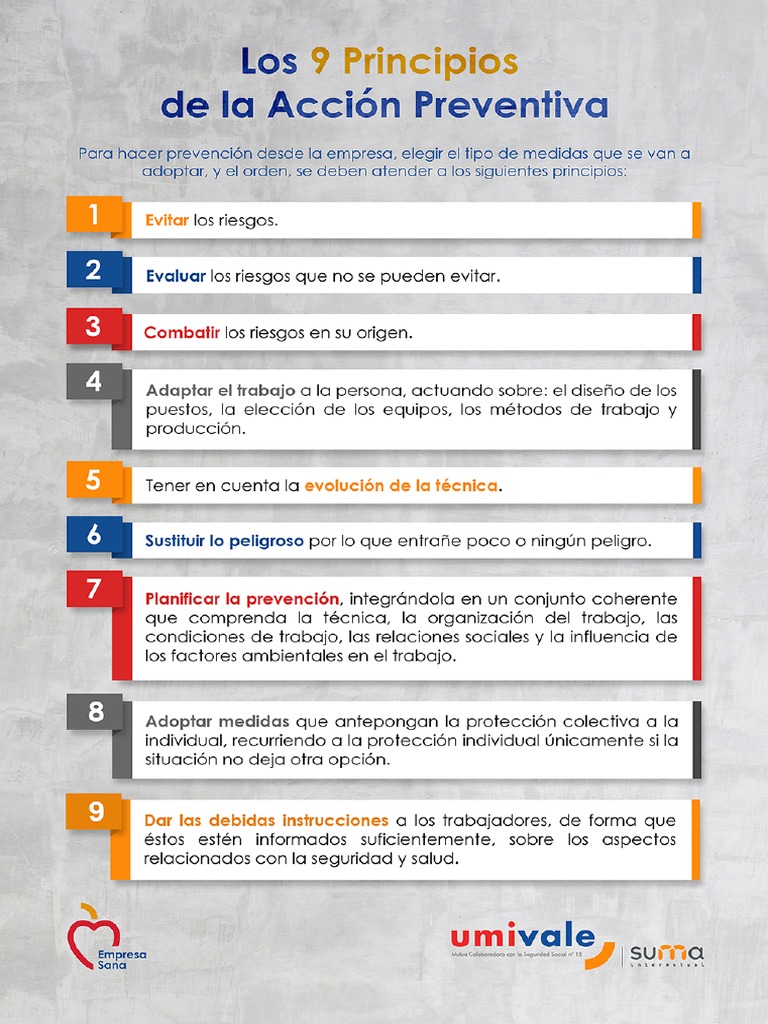 Los 9 Principios de La Accion Preventiva | PDF