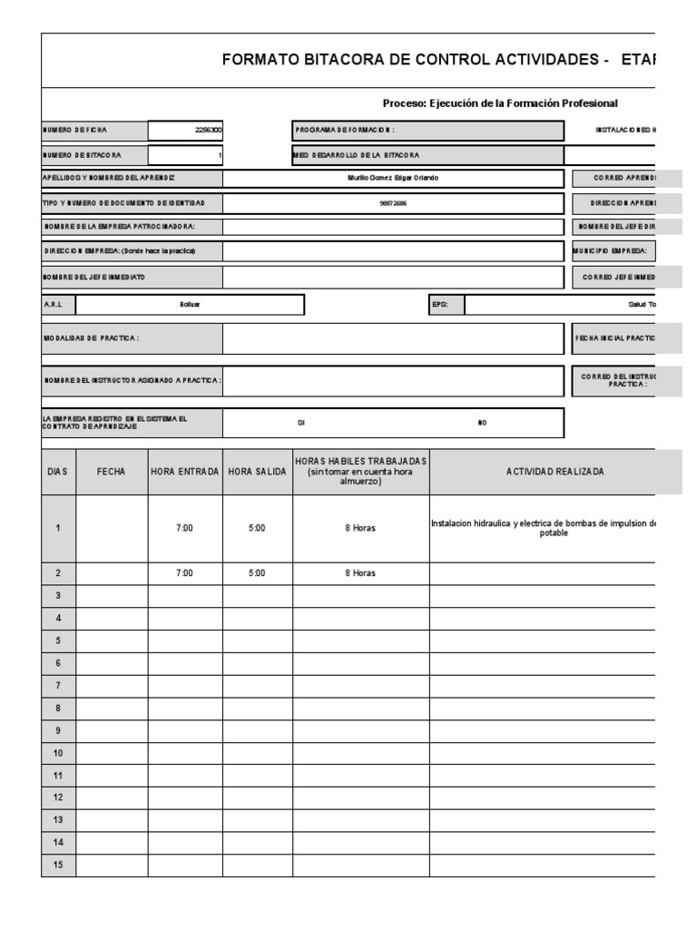 Formato Bitácoras Original Actualizado | PDF