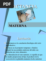 Anatomía y Fisiología de La Lactancia Materna | PDF | Pecho ...