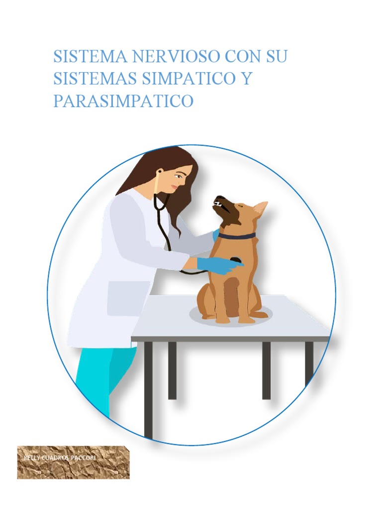 Sistema Nervioso Con Su Sistemas Simpatico y Parasimpatico | PDF ...