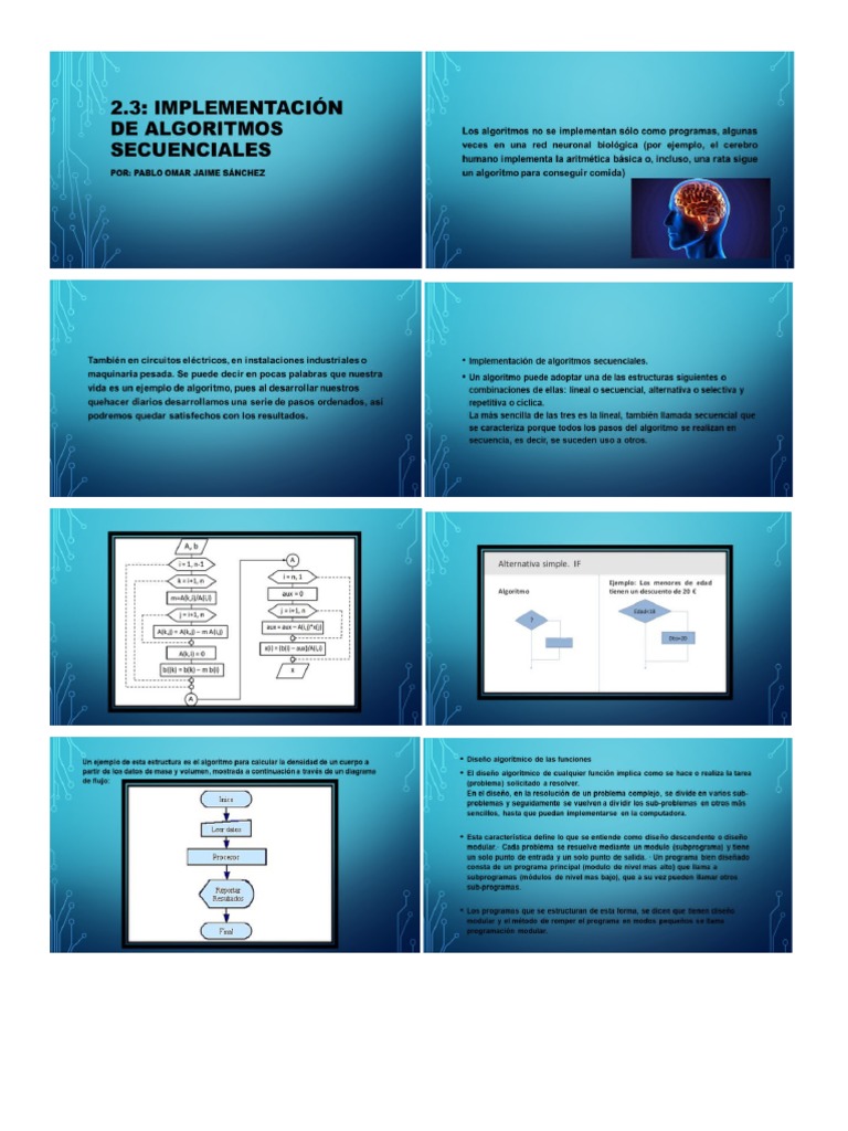 23 Algoritmos Version Reducida Pdf