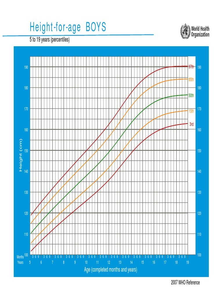 OMS. Altura Para Idade Meninos . 5-19 Anos. Em Percentil. | PDF