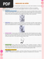 2.7. Exploración Testicular. 2.8. Escroto. 2.9. Técnicas y Maniobras de ...