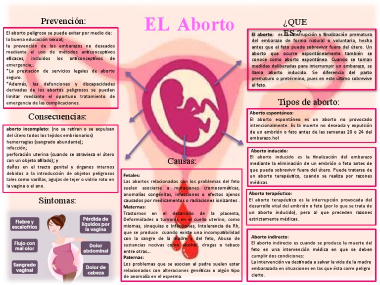 Mapa Conceptual Del Aborto Delimar Montoya | PDF | Aborto | El embarazo