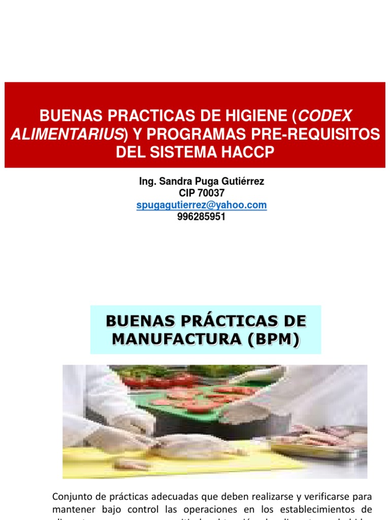 BPM y PHS Junio 2022 - Sandra Puga - Presentacion | PDF | Cocina, comidas y vino | Hogar ...