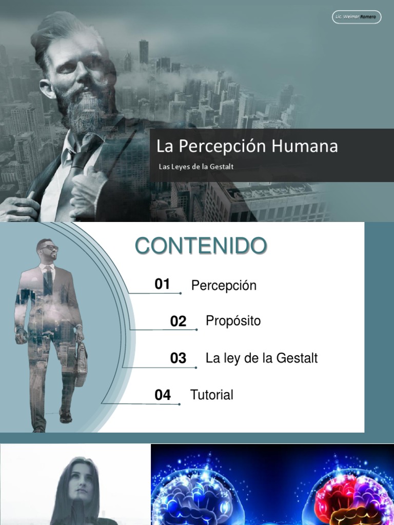 La Percepción Humana y Las Leyes de La Gestalt | PDF | Percepción ...