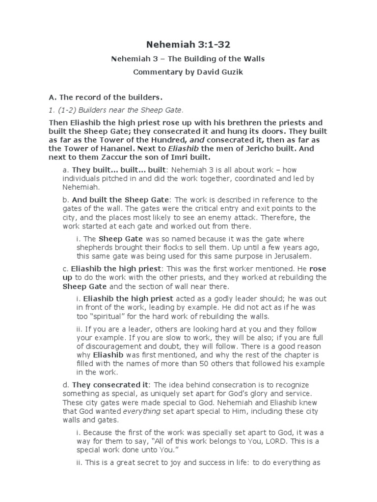 Nehemiah Chapter 3 Commentary | PDF
