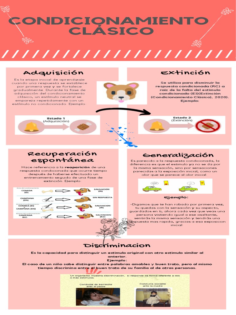 Infografia Condicionamiento Clasico y Operante Correcto | PDF ...