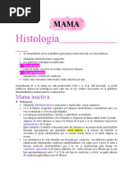 Anatomía y Función de la Mama Femenina | PDF | Pecho | Sistema linfático