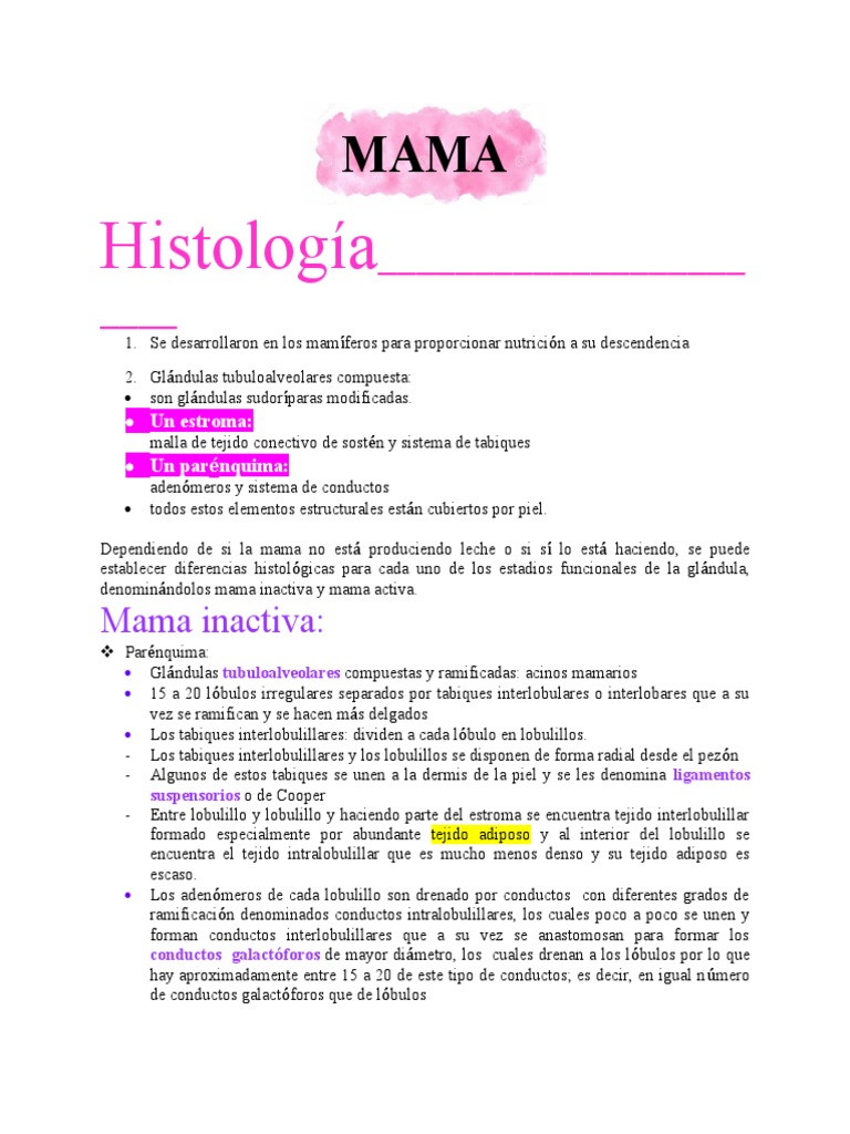 Mama Final | PDF | Pecho | Cáncer de mama