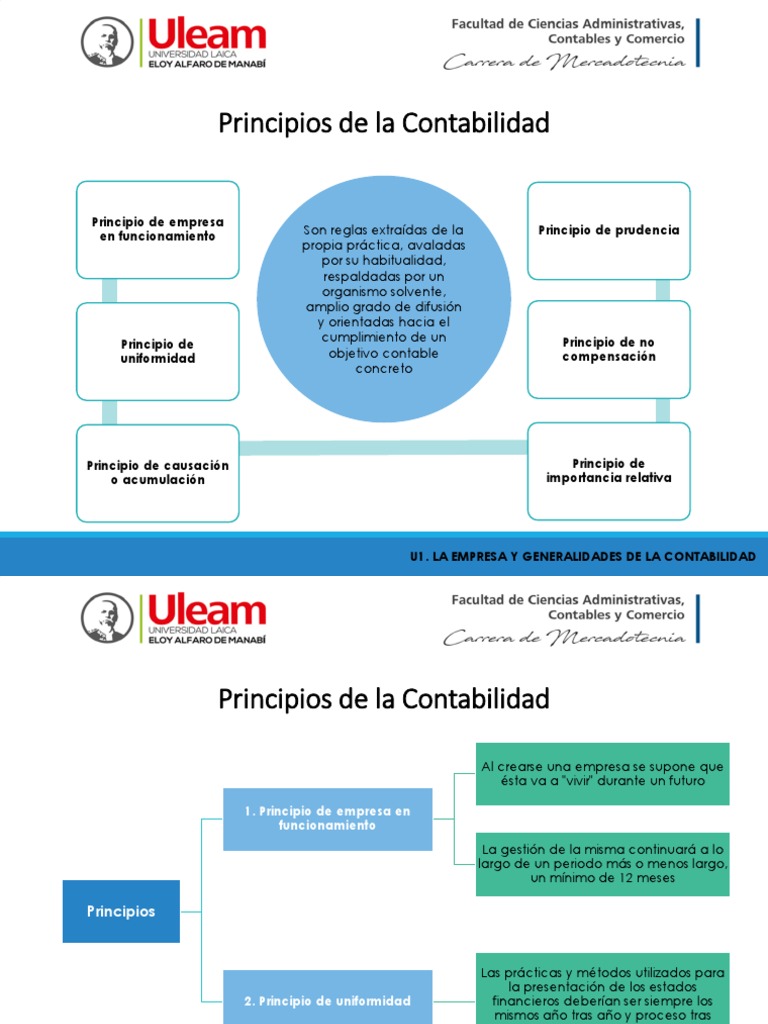 Principios de Contabilidad | PDF | normas internacionales de ...