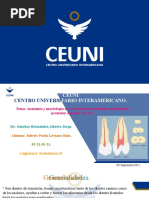 Tipos de Planos Terminales Dentales | PDF | Anatomia dental | Boca