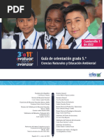 Fases de La NEM | PDF | Aprendizaje | Sociedad