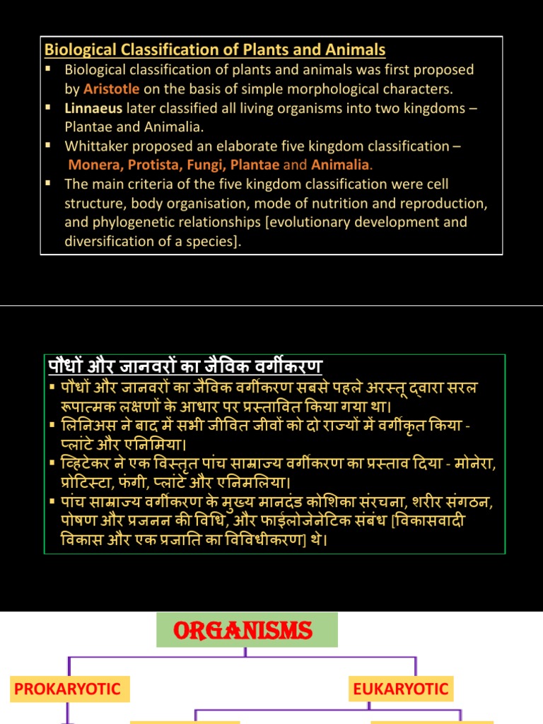 025c780bb76b1-PLANT CLASSIFICATION 1 | PDF