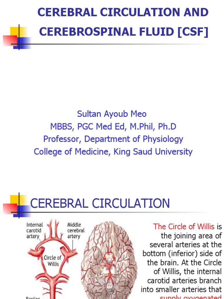 Cerebral Circulation and Cerebrospinal Fluid (CSF) | PDF | Cerebrospinal Fluid | Stroke