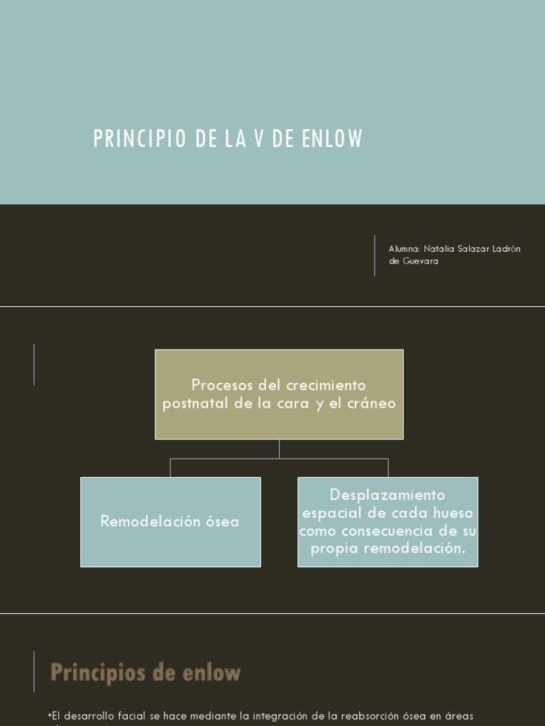 Principio de La V de ENLOW | PDF | Hueso | Cara