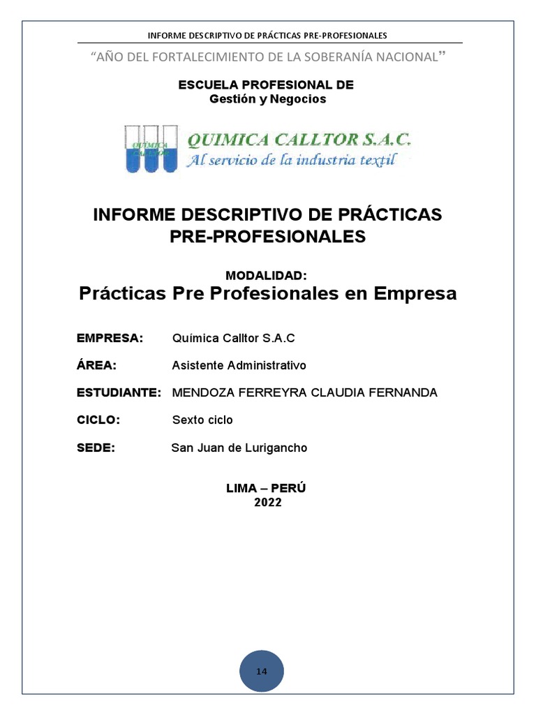 Informe Descriptivo | PDF