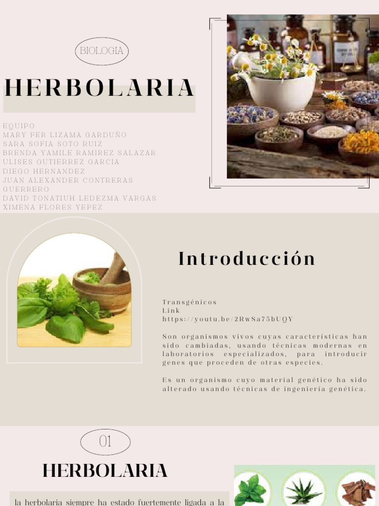 La Herbolaria - Biologia | PDF | Plantas medicinales | Tos