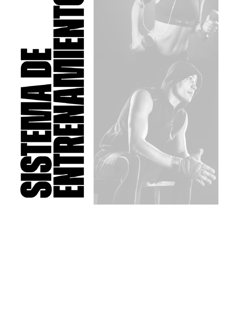 Plan BlackTigerSystem Katia Glover | PDF | Petróleo | Cerdo