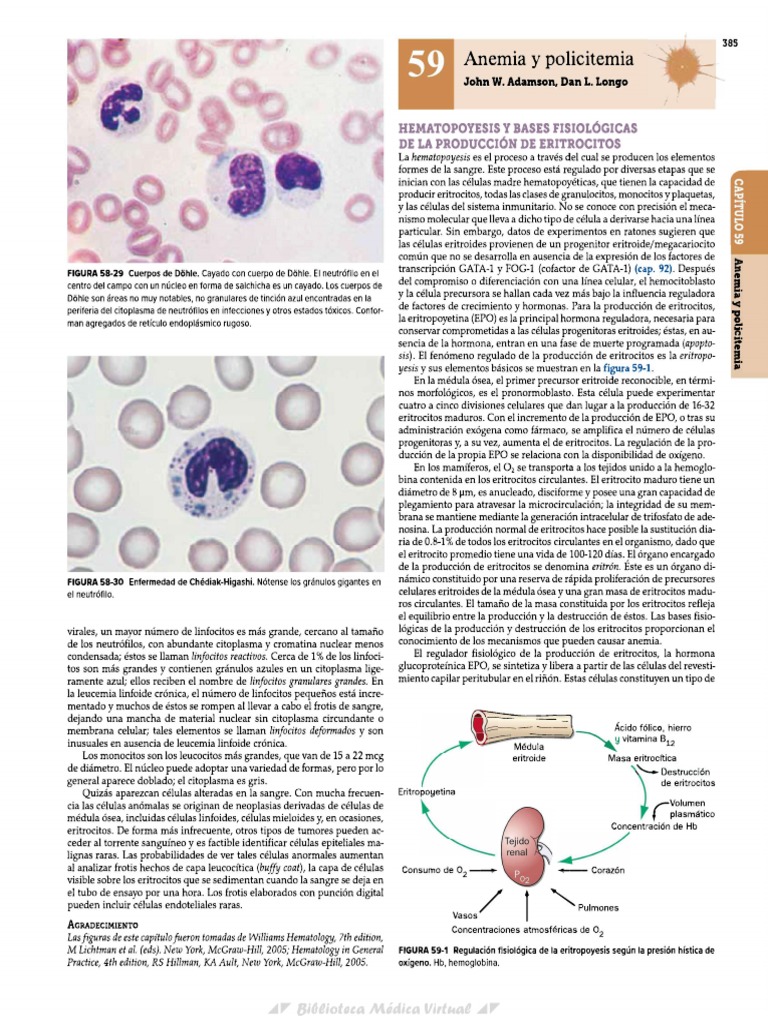 Anemia - Cap 49 - 20 Ed Harrison | PDF