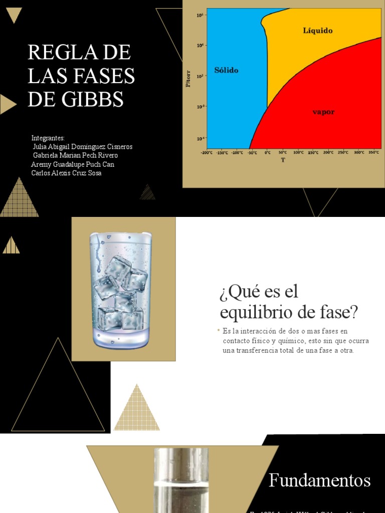 Reglas de Las Fases de Gibbs | PDF