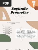 Segundo Molar Inferior | PDF | Ramas de Odontología | Boca