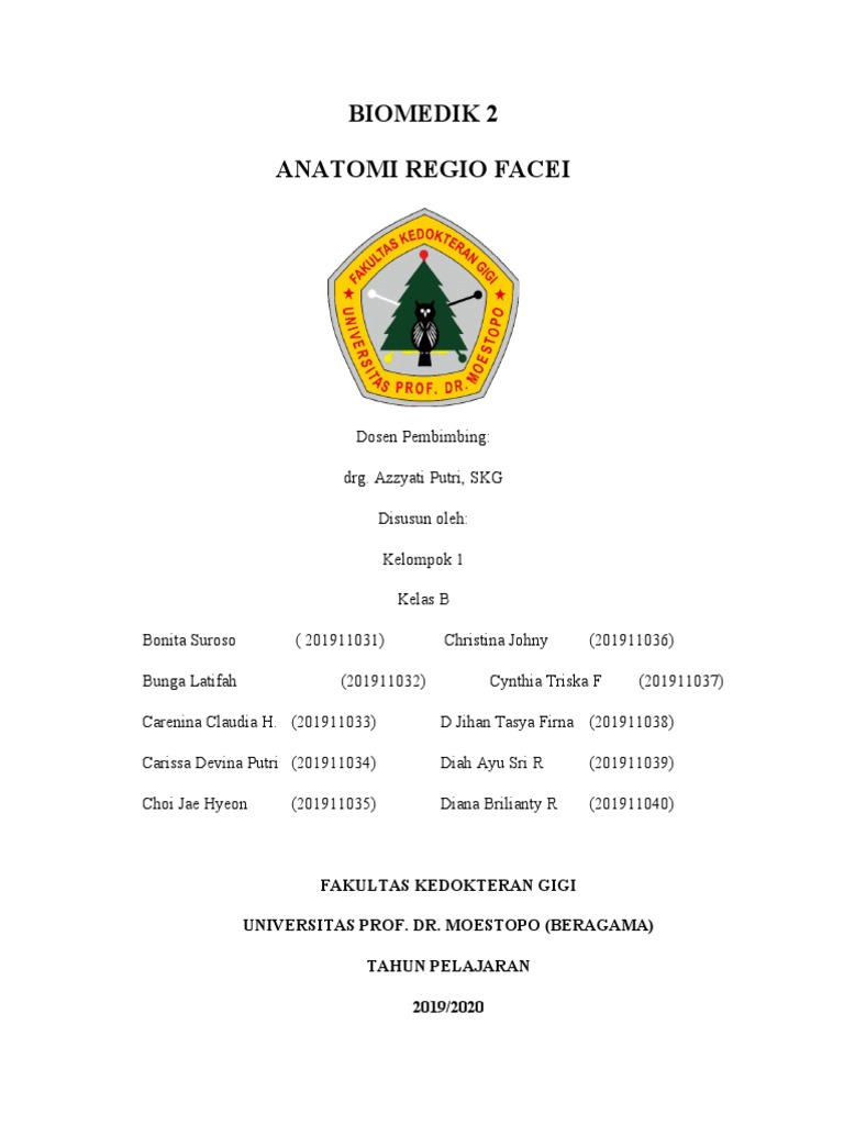 ANATOMI REGIO FACEI DAN OTOT-OTOT KEPALA | PDF