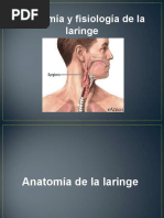 FARINGE y LARINGE - Anatomía II, Veterinaria | PDF | Laringe ...