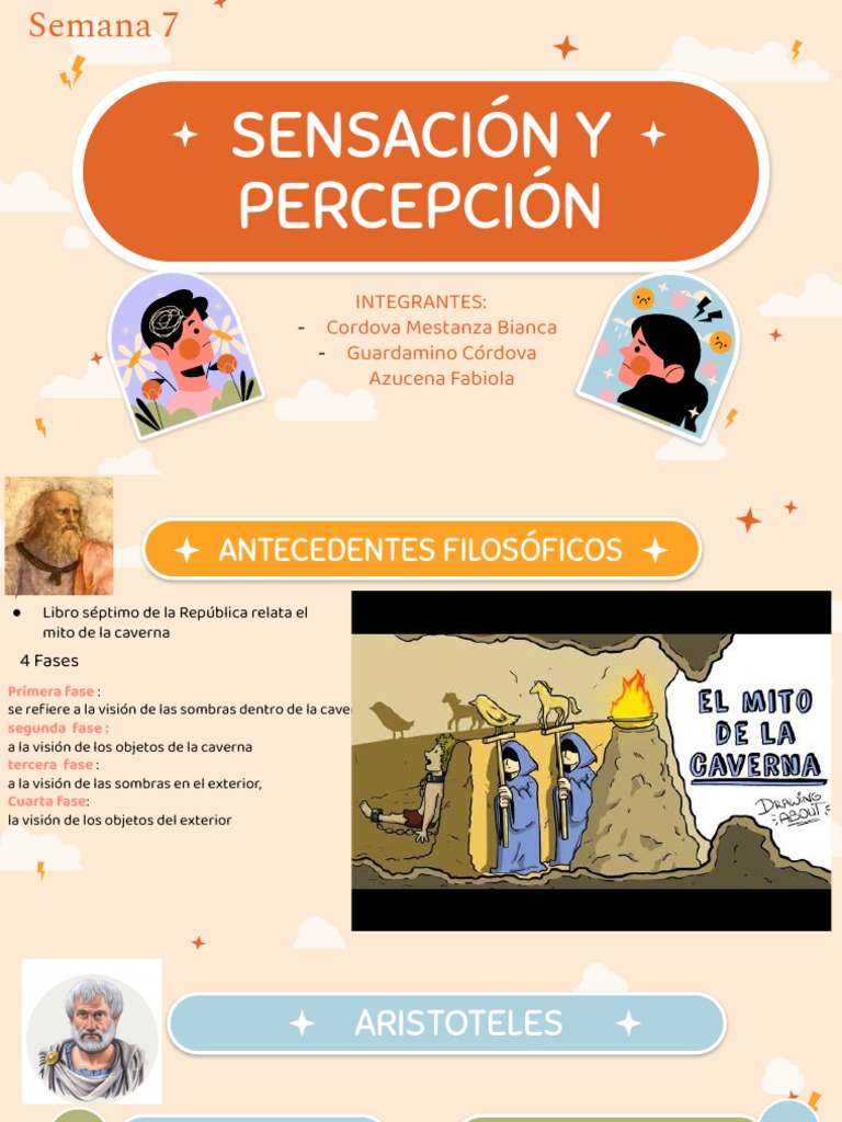 Sensacion y Percepcion | PDF | Percepción | Experiencia