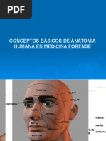 Posiciones Cadavericas y Orientacion Geo | PDF | Pie | Términos ...