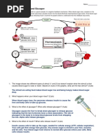 Controlling Blood Glucose 1 | PDF | Insulin | Glucose