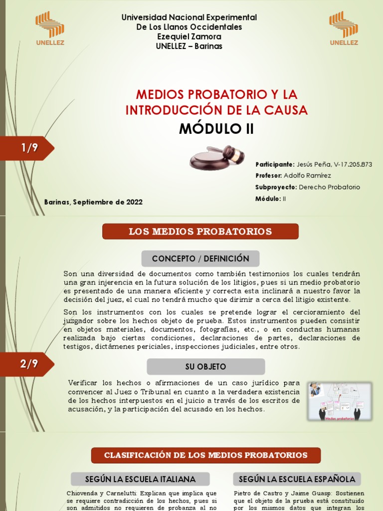 Los Medios de Prueba en El Derecho Probatorio | PDF