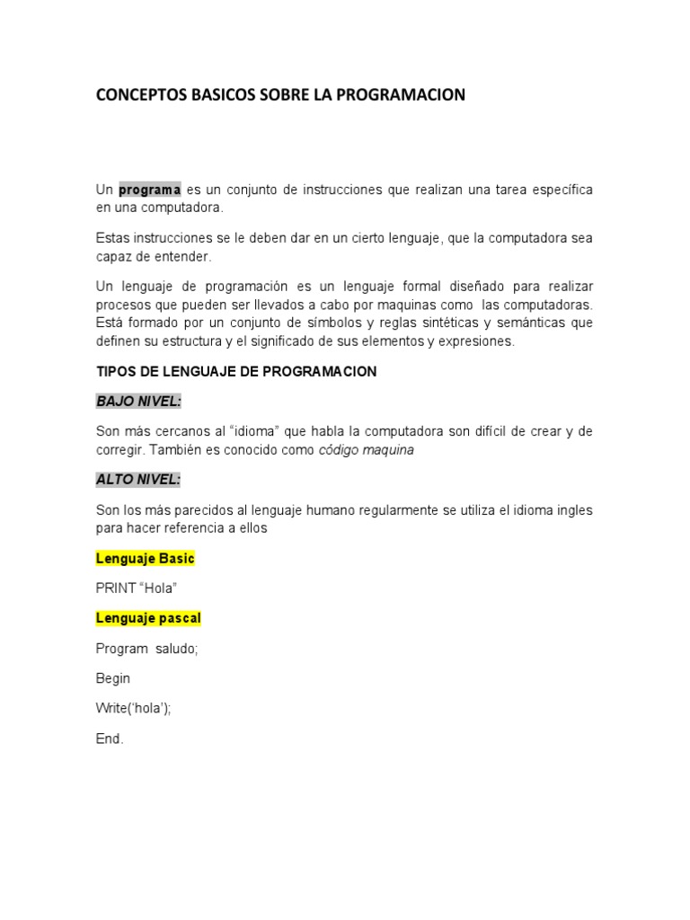 Conceptos Basicos Sobre La Programacion | PDF | Lenguaje de programación | Programa de computadora