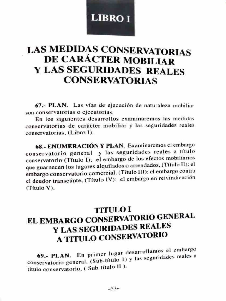 Embargo Conservatorio de Ajuares | PDF