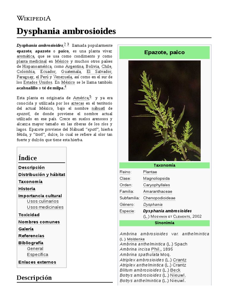 Dysphania Ambrosioides | PDF